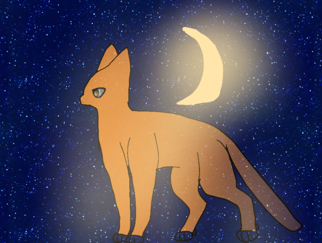 gato da 🌙lua - ibisPaint