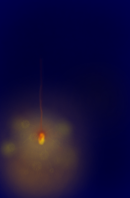 sparkler - ibisPaint