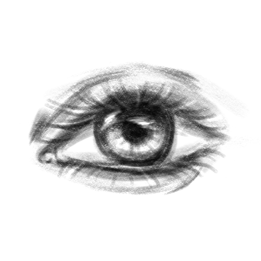 eye sketch - greyscale - ibisPaint