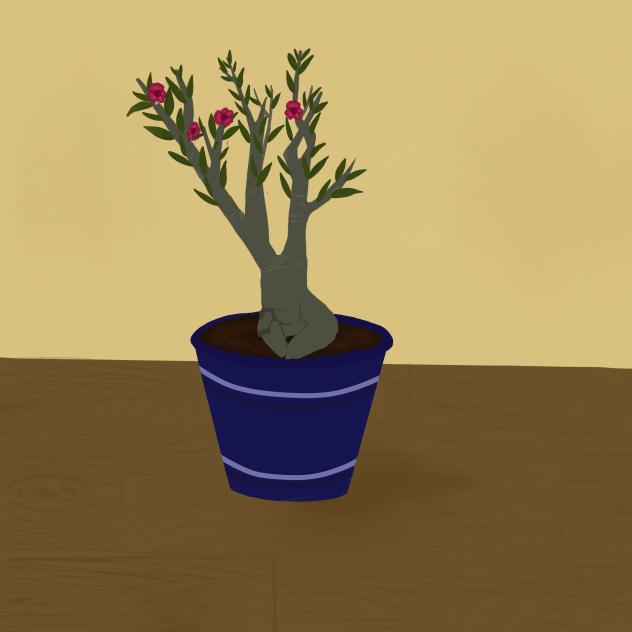 Bonsai plant - ibisPaint
