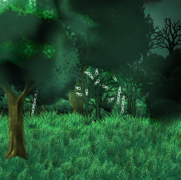 Forest background - ibisPaint