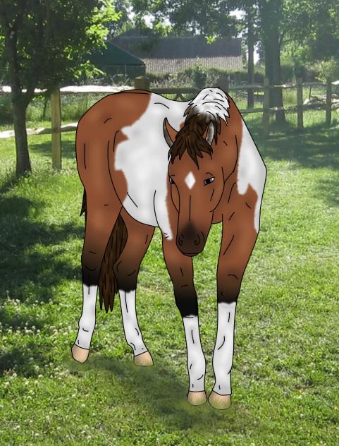 kicking being cute and curious! - ibisPaint