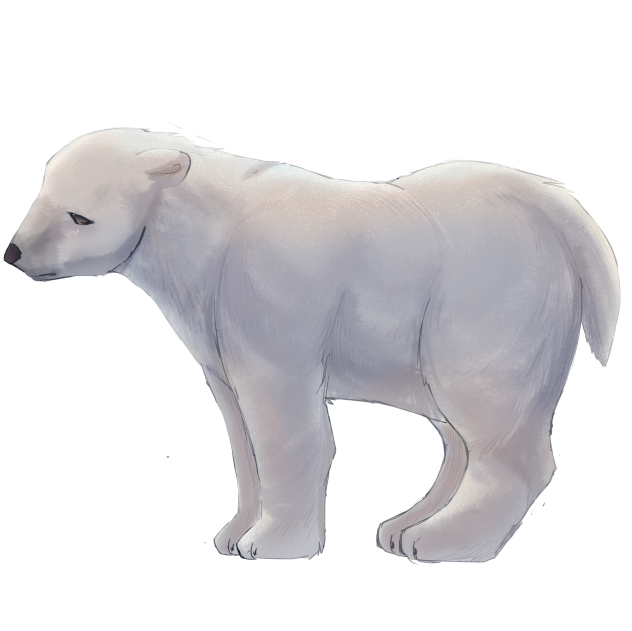 Polar Bear - ibisPaint