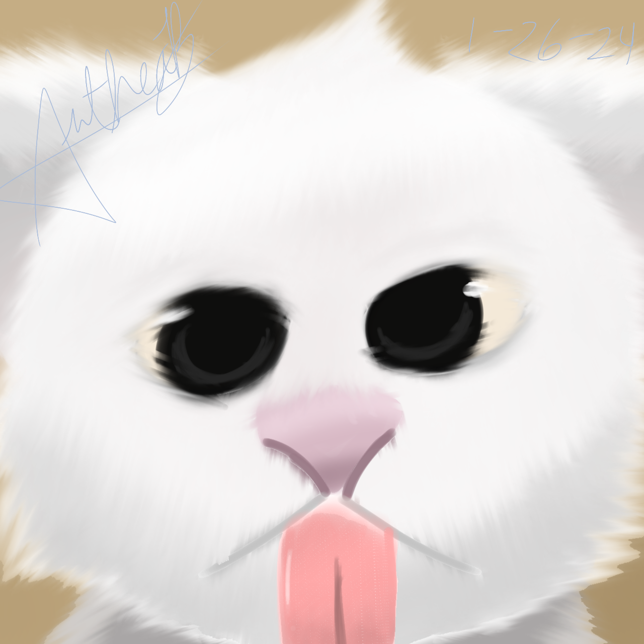 Silly - ibisPaint