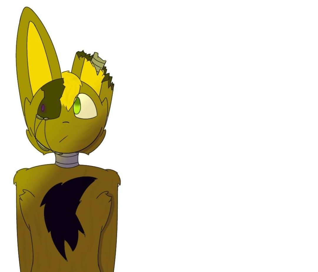 2nd place - ibisPaint