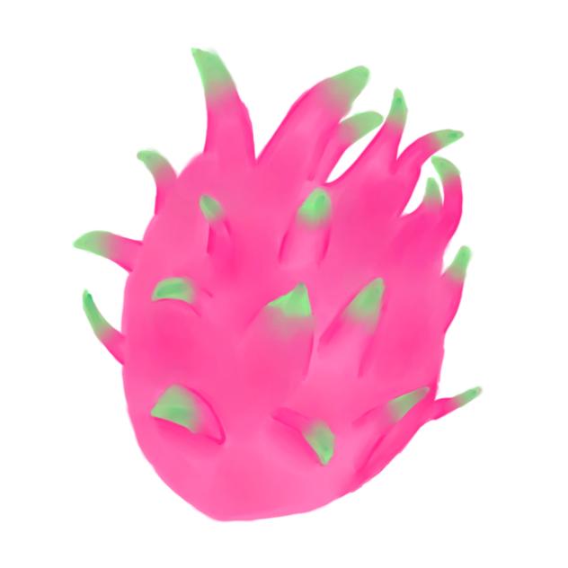 Dragon Fruit - ibisPaint