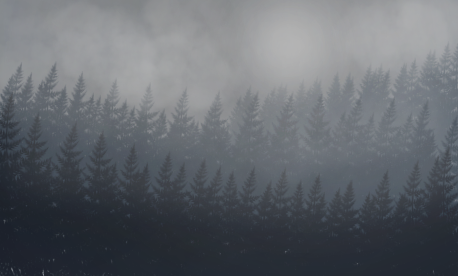 Dark fog forest - ibisPaint