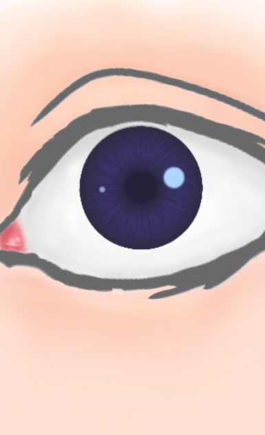 Blue iris - ibisPaint