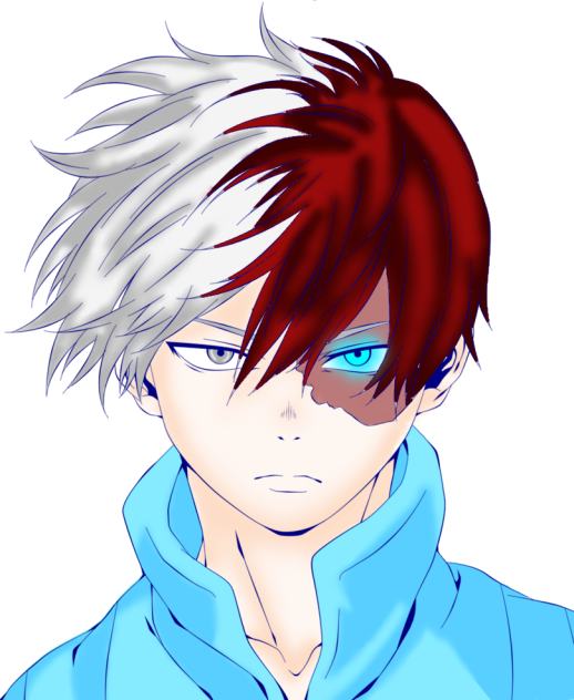 todoroki - ibisPaint