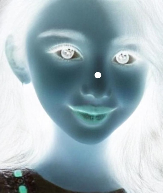 Check description - ibisPaint