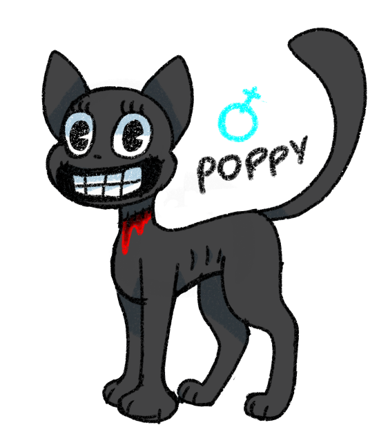 poppy the cat - ibisPaint