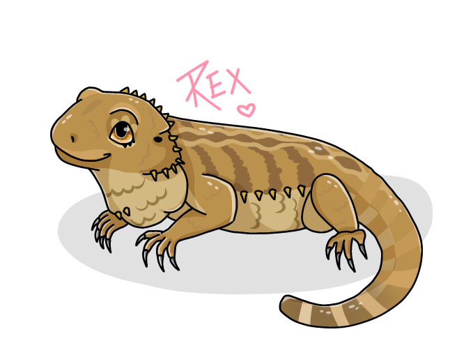 Rex! - ibisPaint