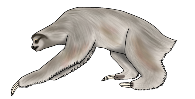 Pygmy three-toed sloth render - ibisPaint