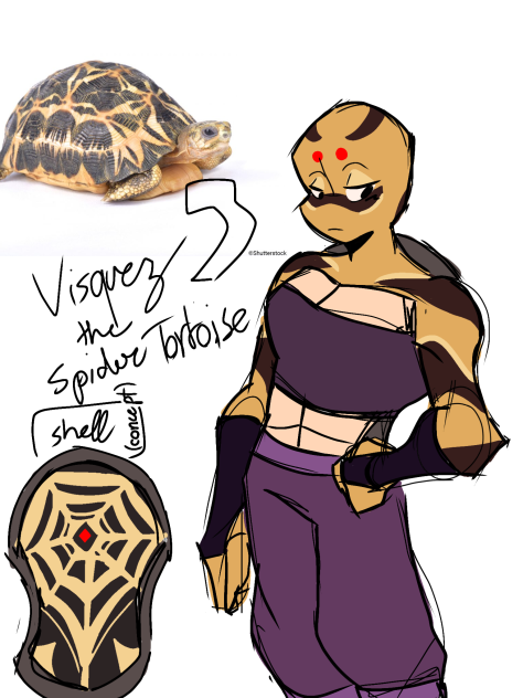 Spider Tortoise Lady - ibisPaint