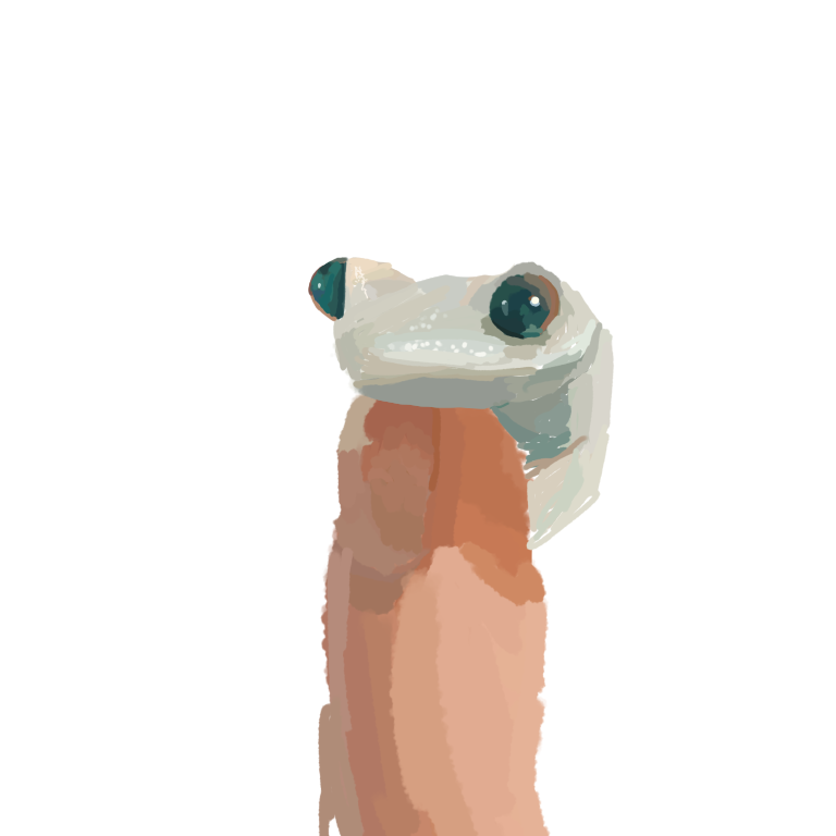 Froggy! - ibisPaint