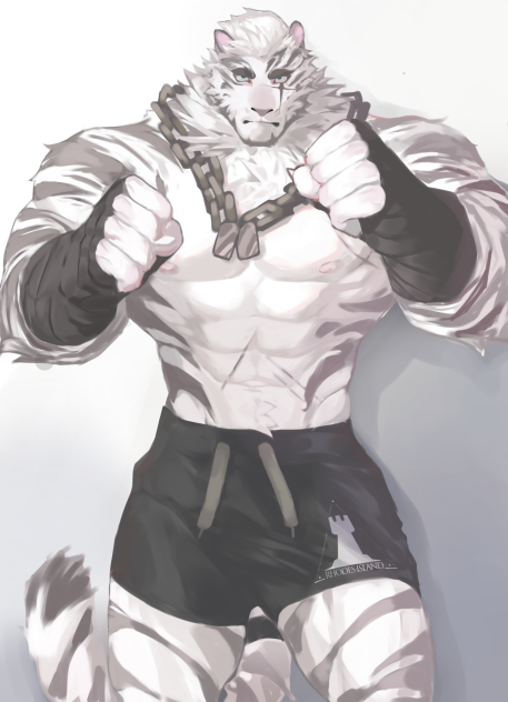 Boxing Mountain - ibisPaint