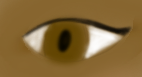 brown eye - ibisPaint