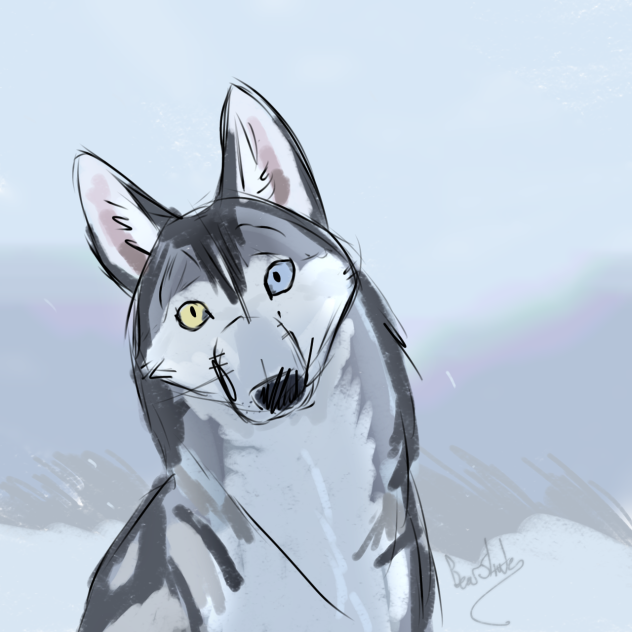Husky - ibisPaint