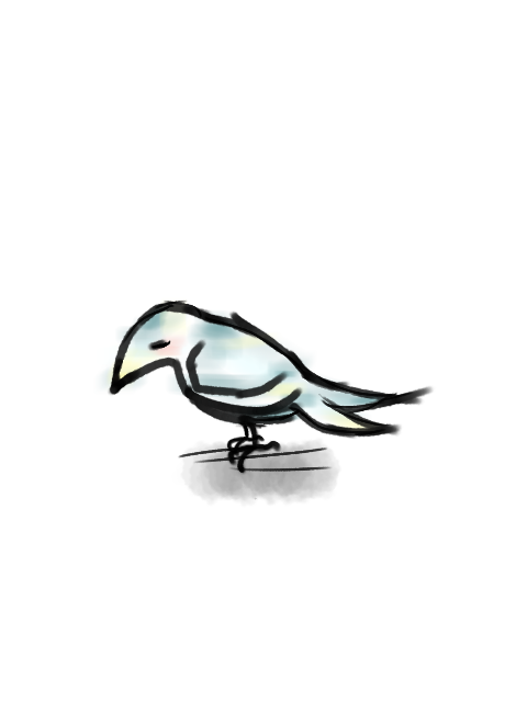curious bird - ibisPaint