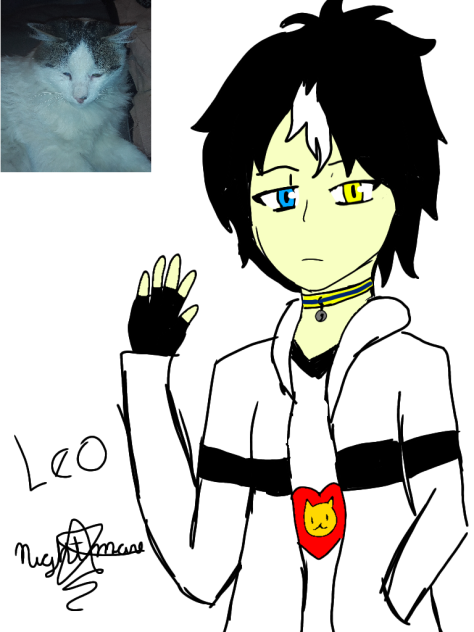 mi gato leo dibujo - ibisPaint