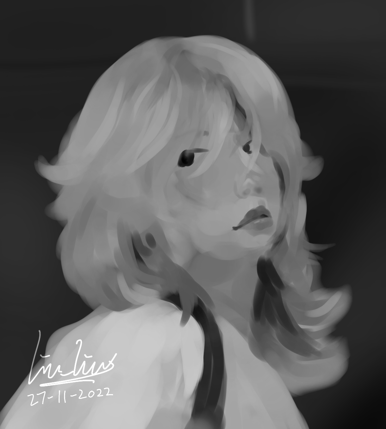 Grayscale 🤍🖤 - ibisPaint