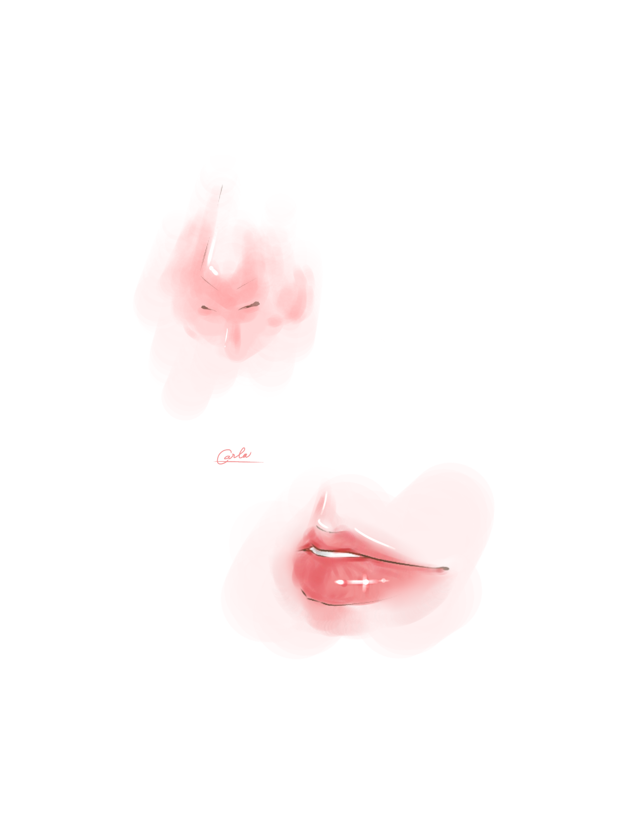 Nose & Lips - ibisPaint