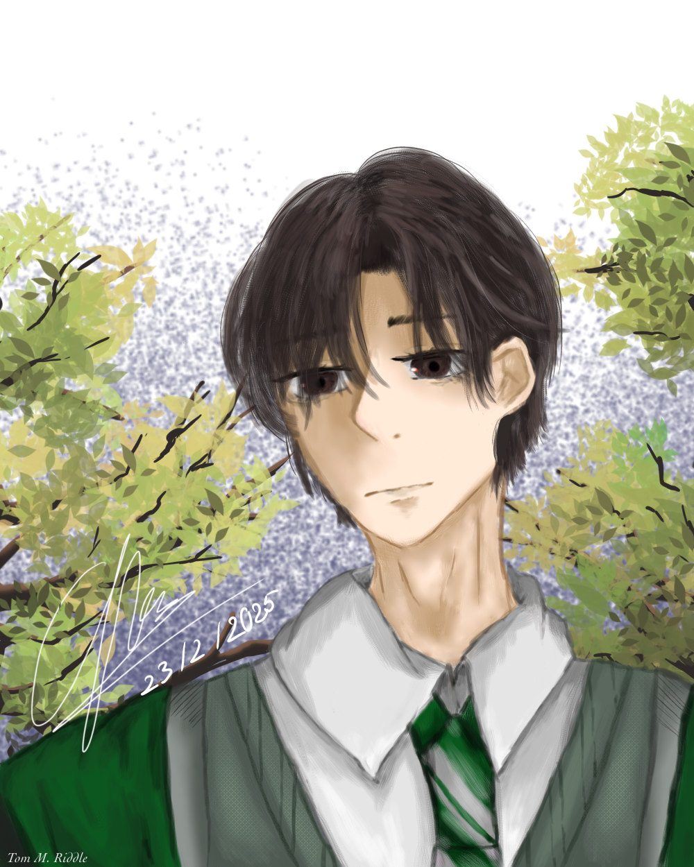 Tom Marvolo Riddle (2 Sides) - ibisPaint