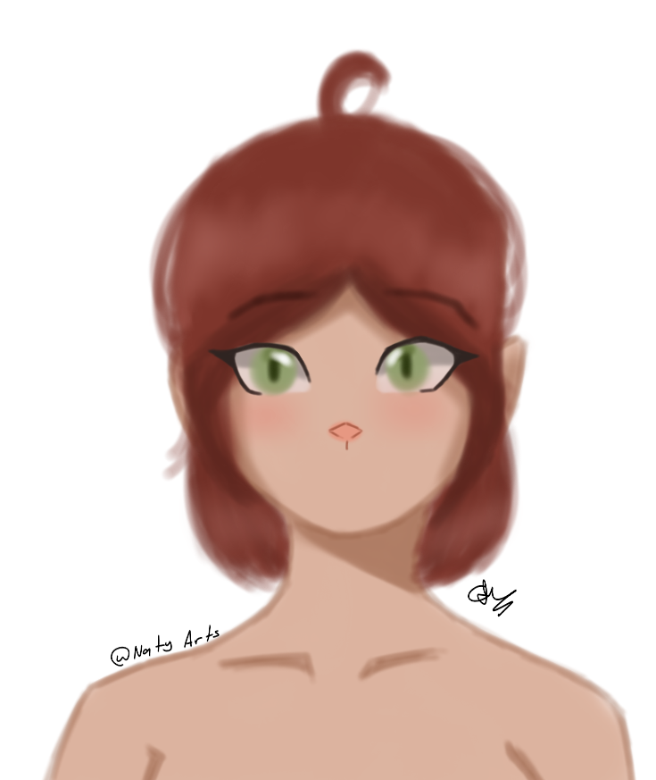 Aerógrafo práctica - ibisPaint