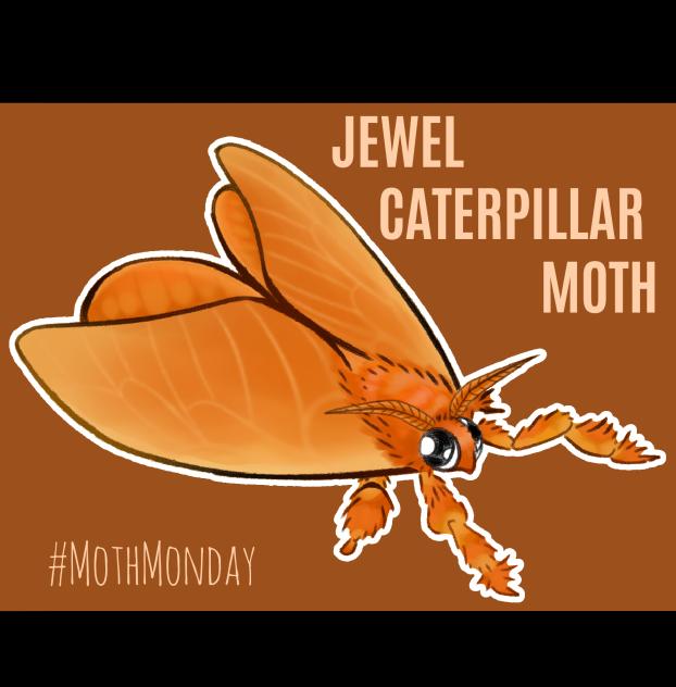 Moth Monday #18 - ibisPaint