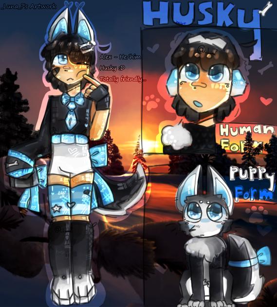 Husky OC - Alex - ibisPaint