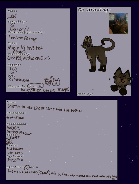 Cs for kitty - ibisPaint