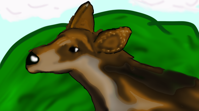Deer - ibisPaint