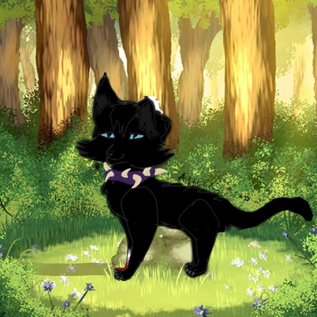 Warrior cats - ibisPaint