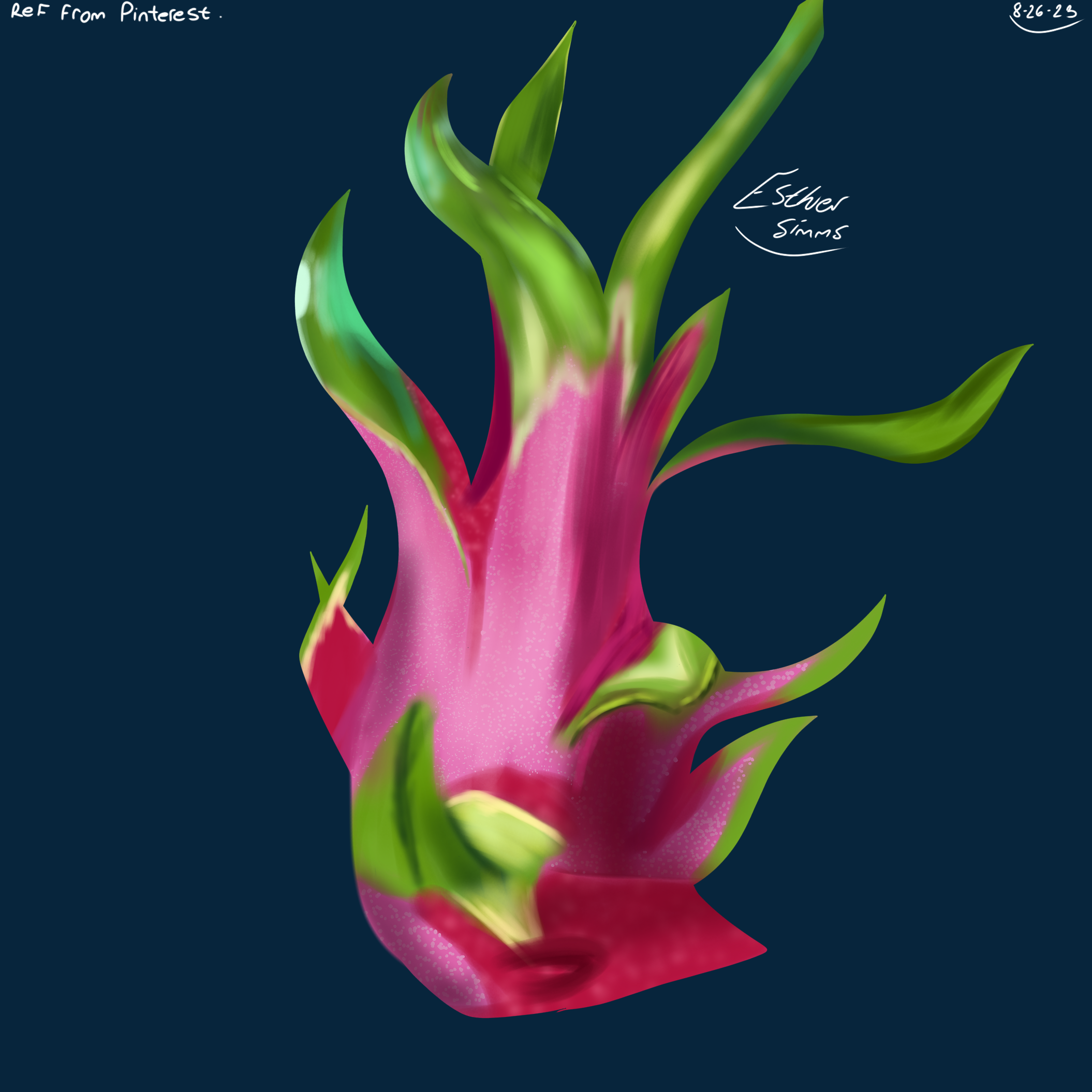 dragon fruit [outer part] - ibisPaint