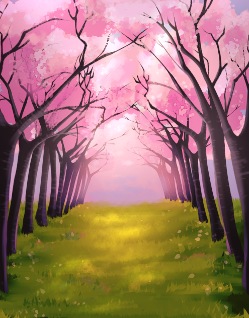 Cherry blossom woods - ibisPaint