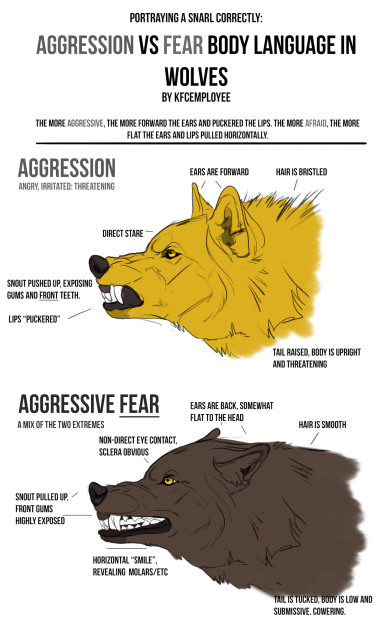 Aggression vs Aggression Fear in Wolves - ibisPaint