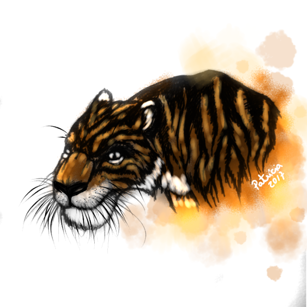 Tiger 2 - ibisPaint