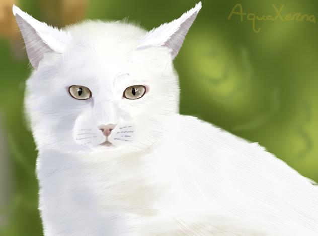 mmm kitty - ibisPaint