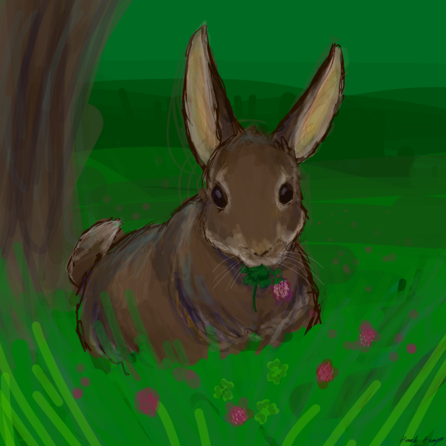 speed drawn bunny - ibisPaint
