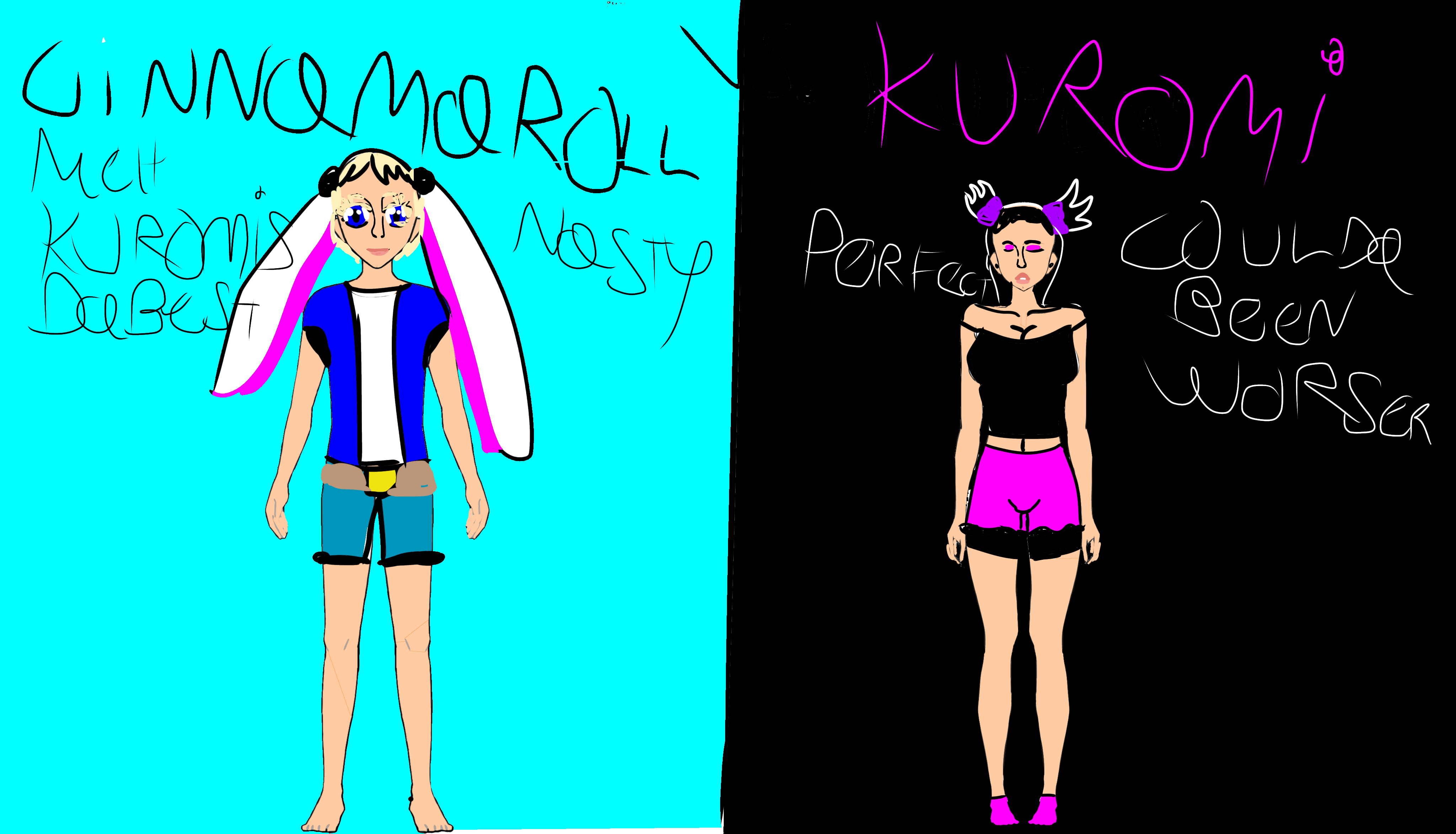 CINNAROLL vs. edgy queen kuromi!! - ibisPaint