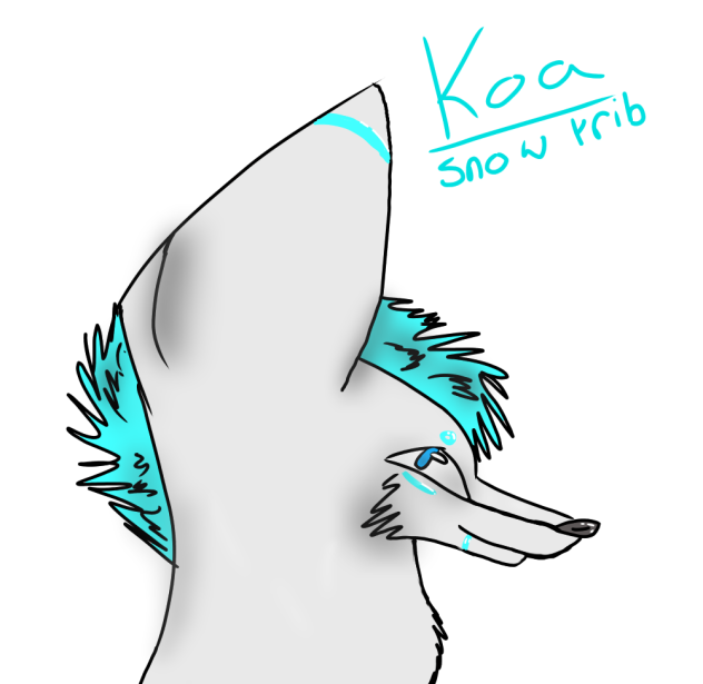 koa - ibisPaint