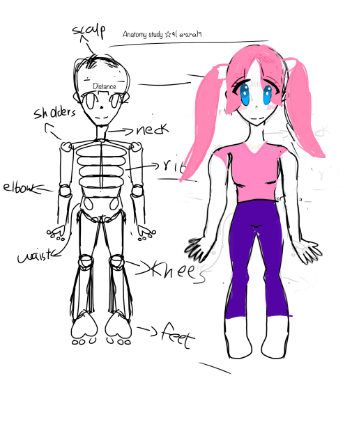 Anatomy study ! - ibisPaint