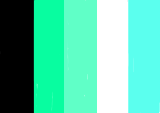 Personal Palette - ibisPaint