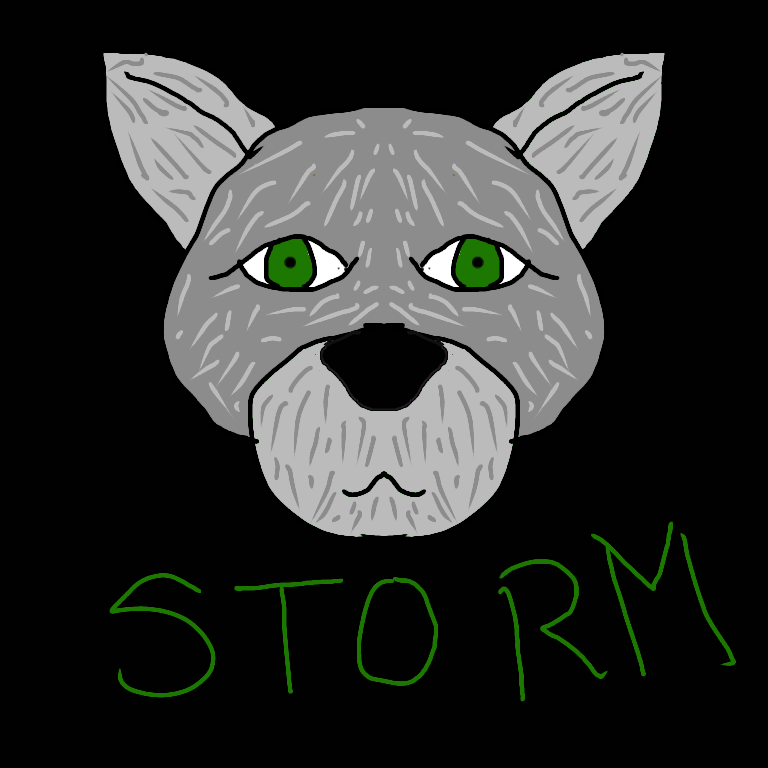 Storm The Wolf - ibisPaint