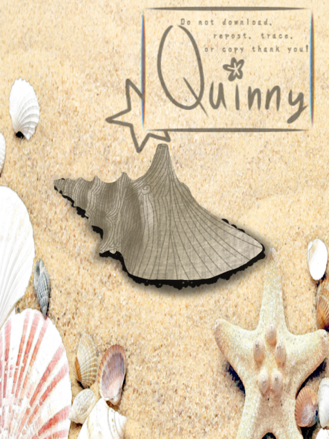 Sea Shell 🐚😲 - ibisPaint