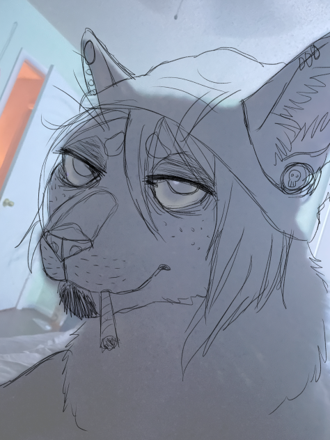 Weed cat wip - ibisPaint