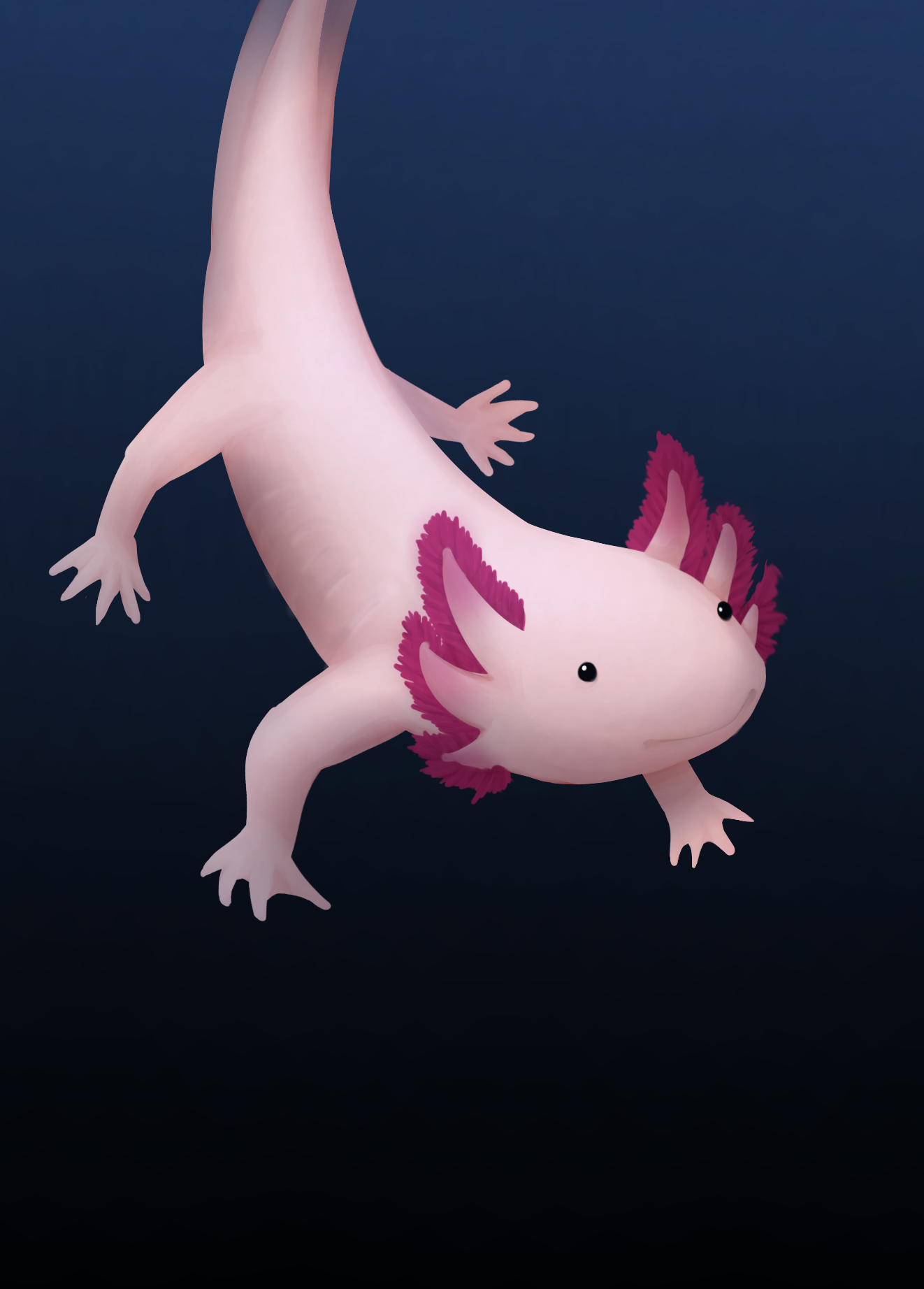 Axolotl - ibisPaint