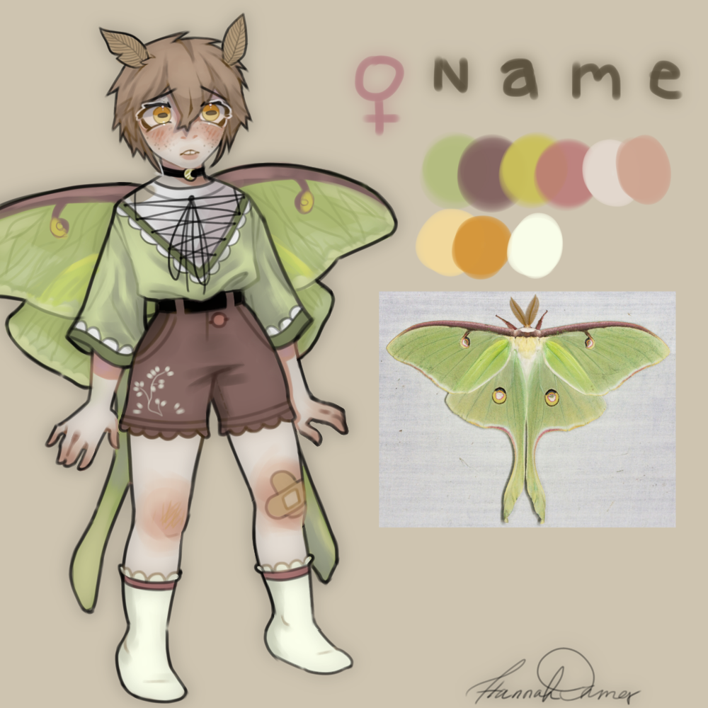🦋 Luna Moth 🦋 - ibisPaint