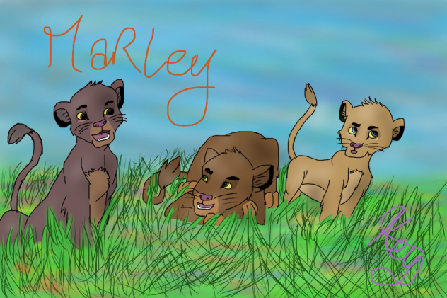 For Marley - ibisPaint