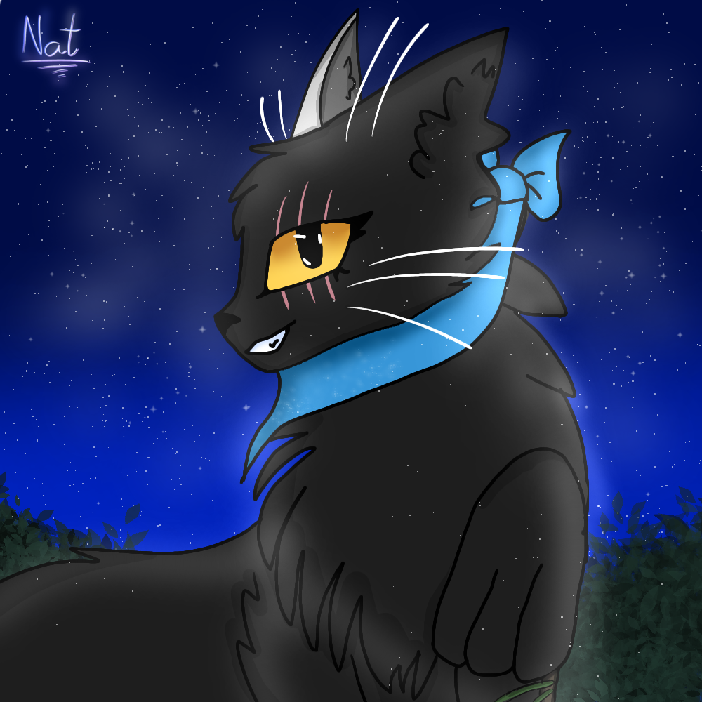 My warrior cats OC - ibisPaint